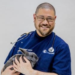 Meet our vets - Lort Smith Melbourne Animal Hospital