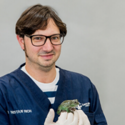 Meet our vets - Lort Smith Animal Hospital