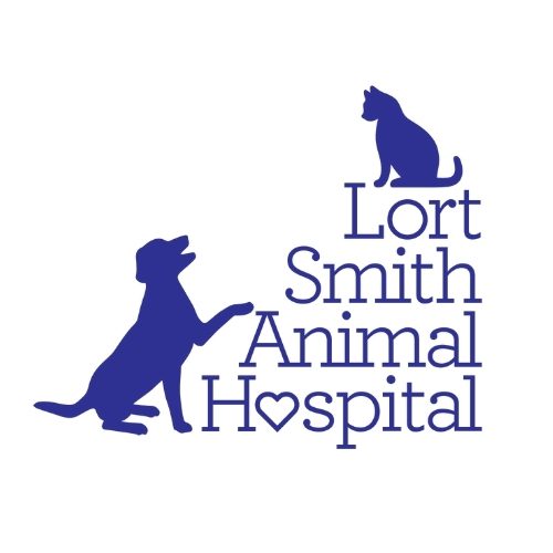 News & Media - Lort Smith Animal Hospital