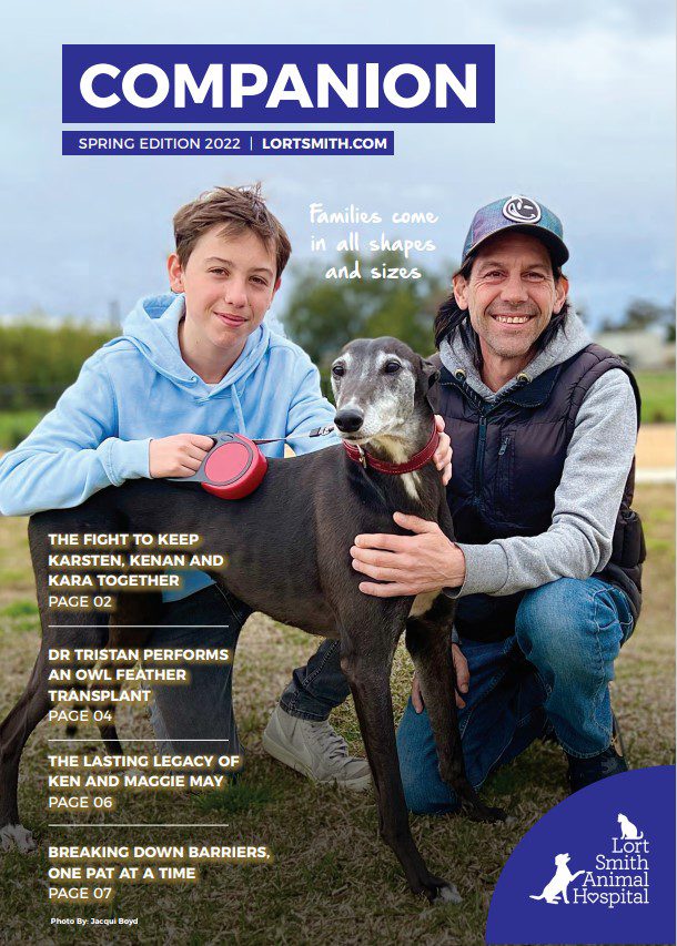 The Spring Companion 2022 - Lort Smith Melbourne Animal Hospital