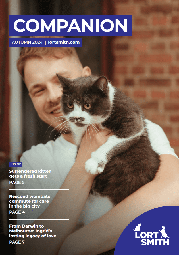 The Autumn Companion Newsletter - Lort Smith Melbourne Animal Hospital