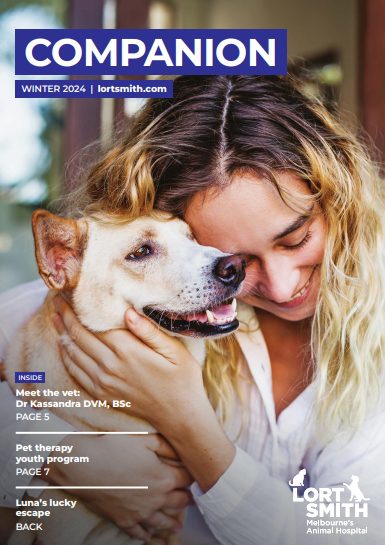 The Winter Companion Newsletter - Lort Smith Melbourne Animal Hospital
