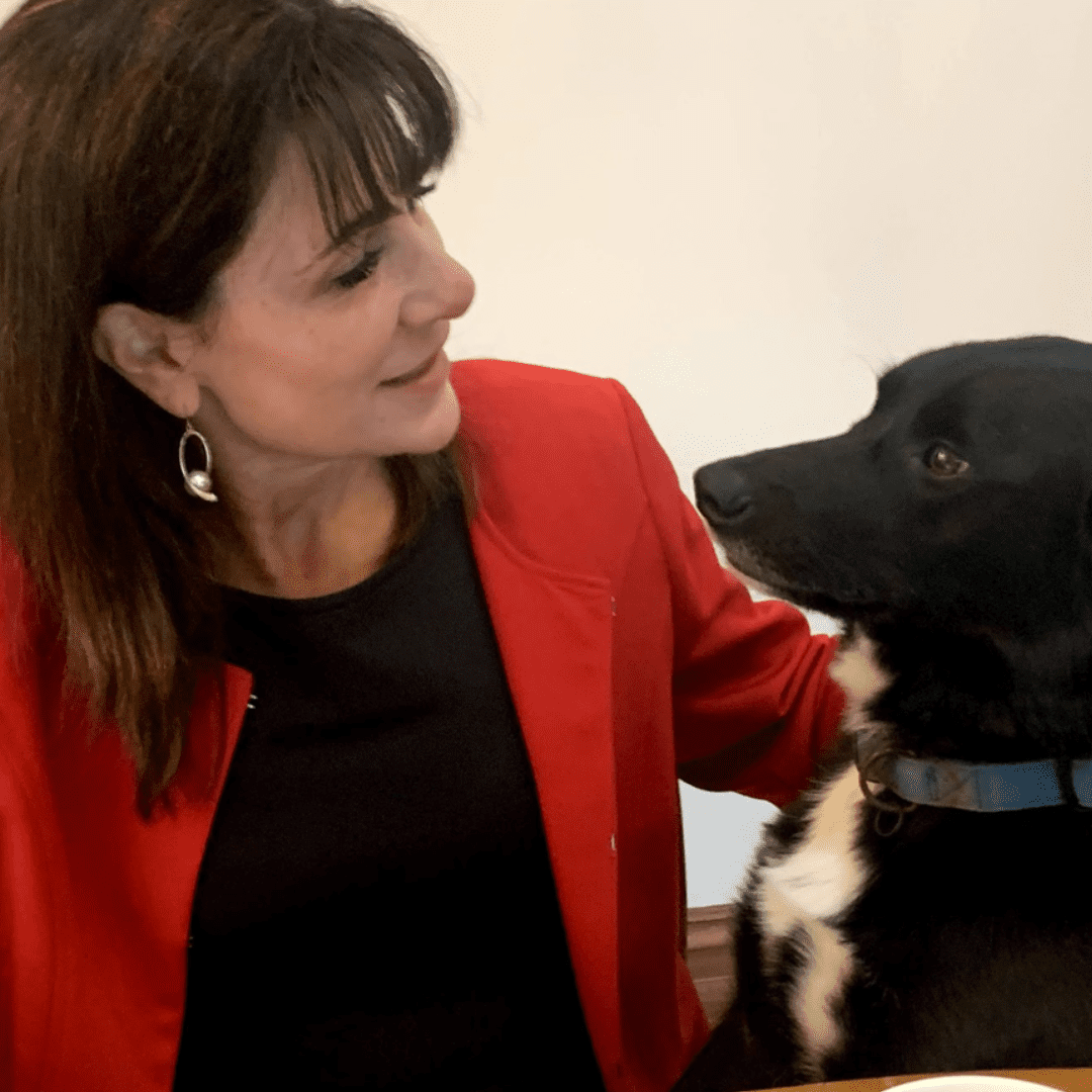 Lort Smith CEO and Board