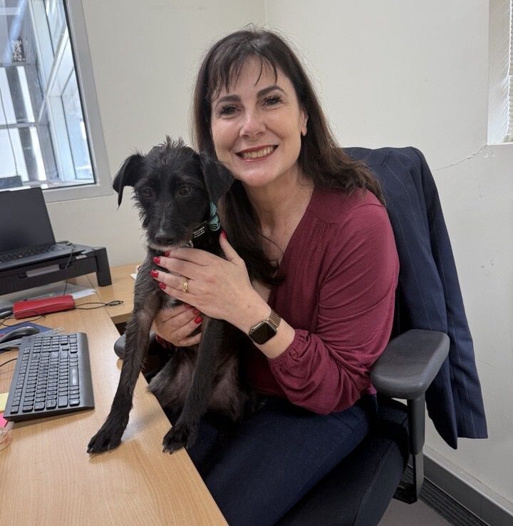 Announcing appointment of CEO and Chair - Lort Smith